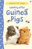 I Love Guinea-Pigs (Nature Storybooks): Amazon.co.uk: Dick King-Smith ...