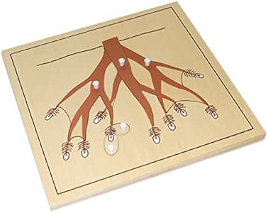 Amazon.com: Montessori Root Puzzle: Toys & Games