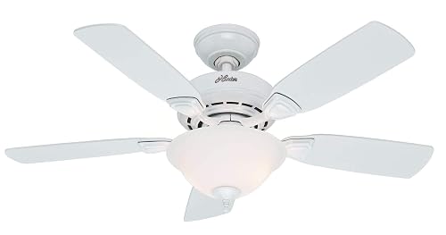 Hunter Caraway Indoor Ceiling Fan with LED Light and Pull Chain Control ...