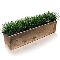 7 Window Box Planters That Make Your Plants Pop