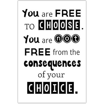 Amazon.com: Classroom Motivational Poster - You Are the Author of Your ...