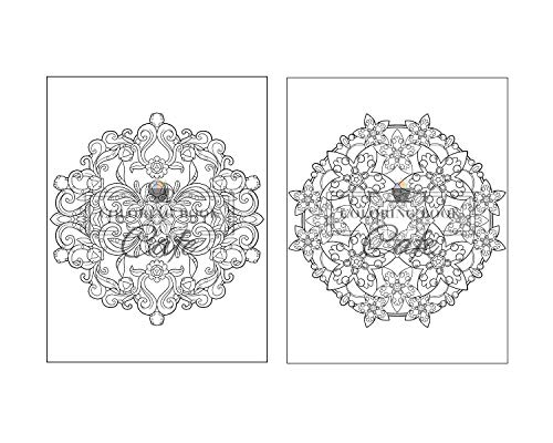 Gemstone Mandalas: An Adult Coloring Book Featuring the World's Most ...