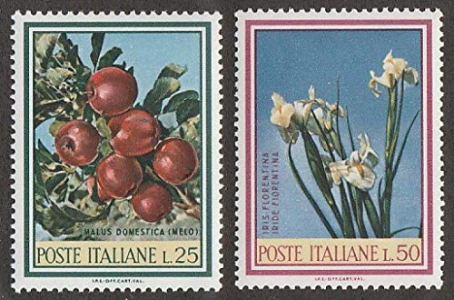 Rare Italian Stamps: An Endless Variety for Collectors ~ MegaMinistore