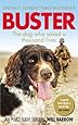 Judy: A Dog in a Million: From Runaway Puppy to the World's Most Heroic ...