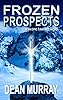Amazon.com: Frozen Prospects: A YA Epic Fantasy Novel (Volume 1 of the ...