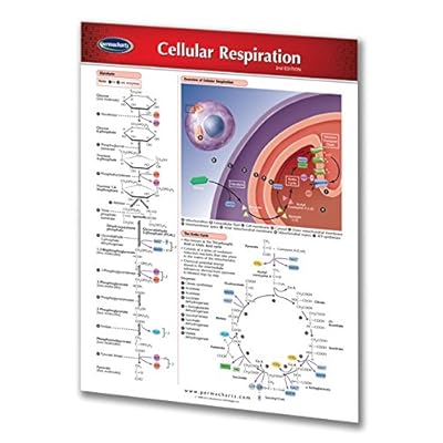 Biology Quick Reference Guide: Cellular Respiration Nepal | Ubuy