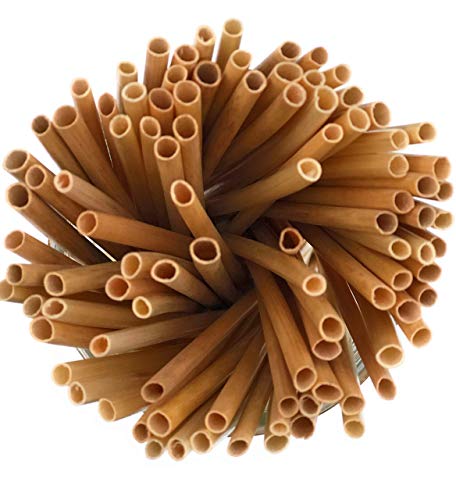 7 of the Best Plastic Straw Alternatives for Replacing Plastic Straws