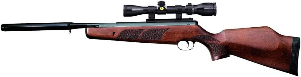 Amazon.com : BSA 1705 Lightning XL SE Spring Air Rifle.22-Caliber ...