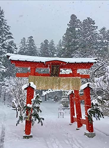 Mua Ogami Shinto Altar Shinto Shrine Kamidana Shimenawa Paper Shide ...