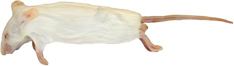 Frozen Mice Medium SIze 15-22g - Pack of 25: Amazon.co.uk: Pet Supplies