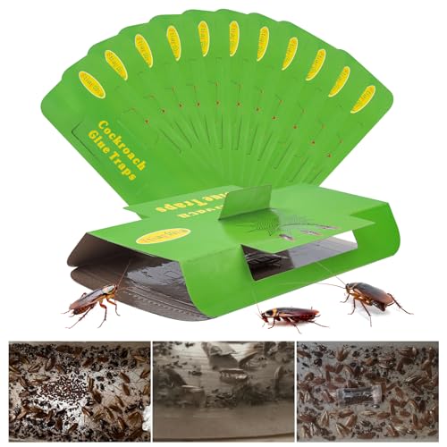 18 Pack Roach Traps Indoor Roach Killer Indoor Infestation, Cockroach ...