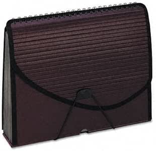 Amazon.com : Pendaflex 01118 Pendaflex 13-Pocket Expanding Spiral File ...