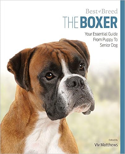 Boxer - 犬種の本