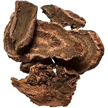 Amazon.com : Huang Jing Herb - Polygonatum Root Medicinal Grade Chinese ...