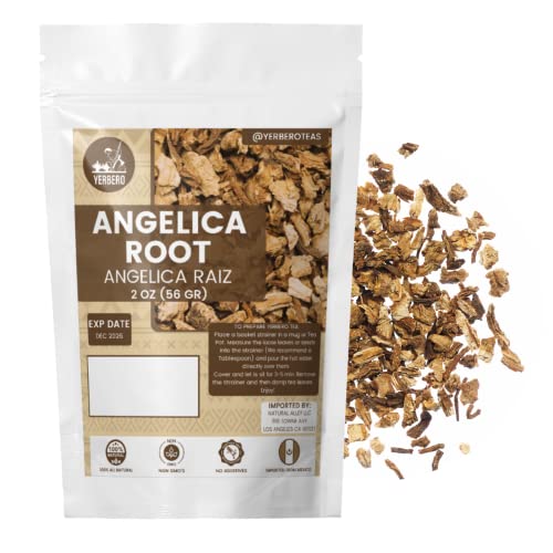 Yerbero - Premium Angelica Root Loose Tea 2oz (56 gr) | Angelica ...