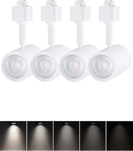 Portfolio 4 Light Track Lighting