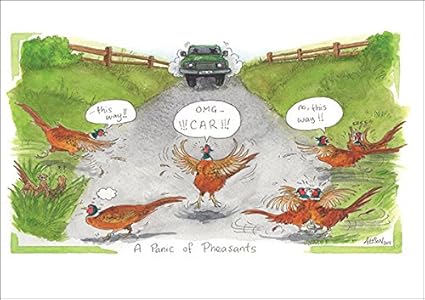 A panic of pheasants - Humorous Pheasant themed greeting card: Amazon ...