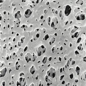 PALL 66204 HT Tuffryn Polysulfone 200 Membrane Disc Filter, Non-Sterile ...