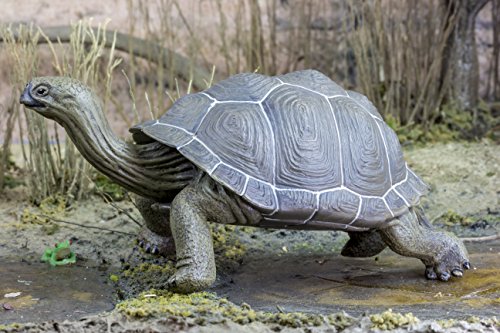 Safari Ltd Incredible Creatures Galapagos Adult Tortoise