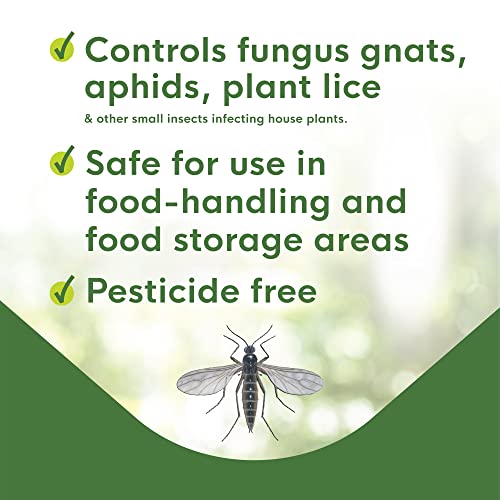 Enoz BioCare Gnat Stix for Fungus Gnats and Aphids, Pest Control for ...