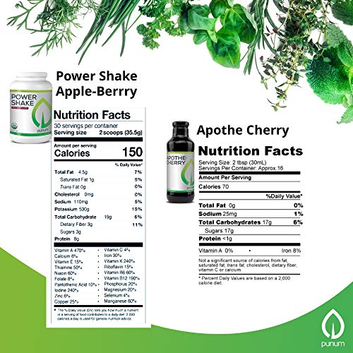 Purium 10 Day Transformation Cleansing – Complete Detox & Cleanse Kit ...