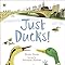 Just Ducks!: Amazon.co.uk: Davies, Nicola, Rubbino, Salvatore ...