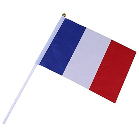 cheap4uk Hand Waving Flag, 12pcs France French National Mini Flag Hand ...