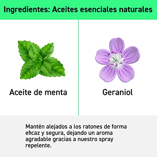 RepellShield Spray Ahuyentador de Ratas y Ratones Organico con Aceite ...