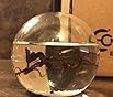 Amazon.com : EcoSphere Large Sphere : Pet Supplies