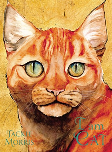 I Am Cat Mini Edition: Morris, Jackie: 9781847805072: Books