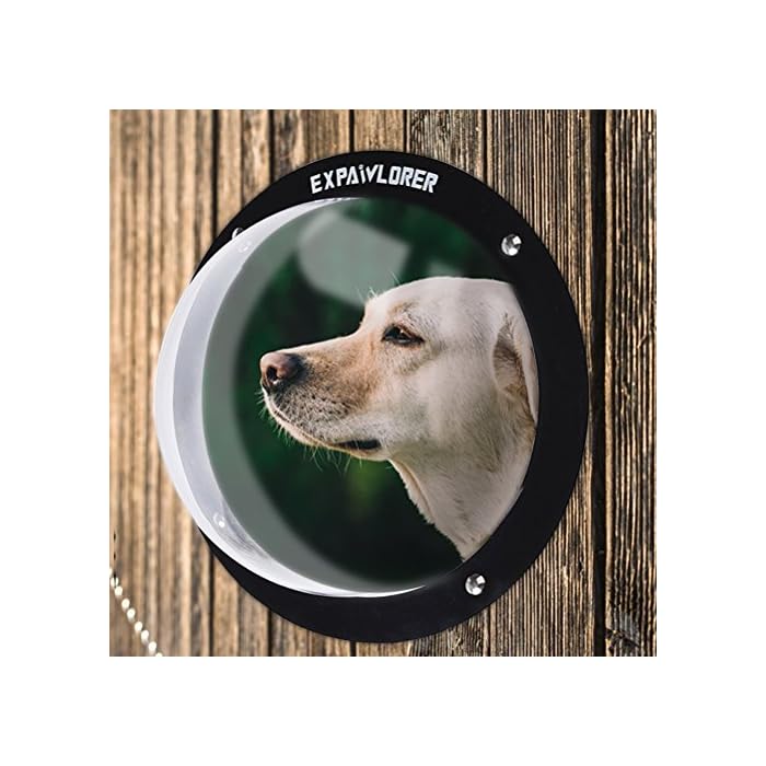 Dog Fence Window for Backyards - Dog Stuff for Dog Lovers