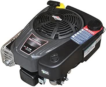 Motor cortacésped Briggs & Stratton 775 Professional Series – OHV – 25 ...