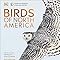 AMNH Birds of North America: DK: 9780744020533: Amazon.com: Books