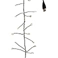 Amazon.com: Kurt S. Adler 180-Light 6-Foot USB Fairy LED Cluster Lights ...