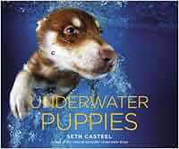 Underwater Puppies: Seth Casteel: 9780316254892: Books - Amazon.ca