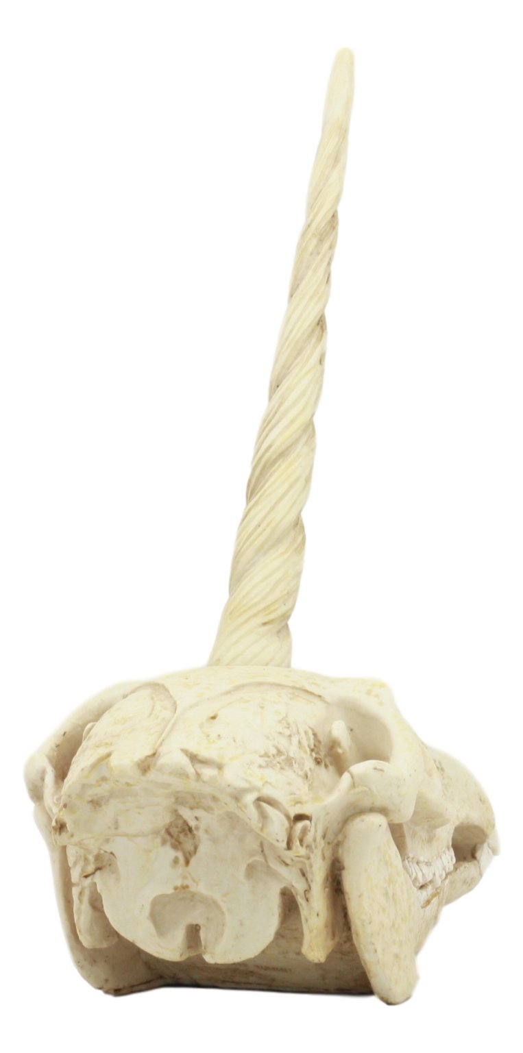 Ebros Ancient Fossil Unicorn Skull Statue Rare Mythical Creature ...