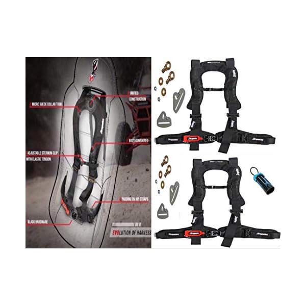 4 Point Harness EVO By Dragonfire Racing Set of 2 with quick release ...