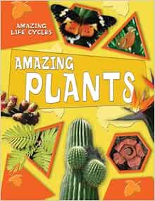 Amazing Plants (Amazing Life Cycles): Head, Honor: 9780836888973 ...