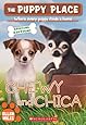 The Puppy Place Set, Books 1-16: Goldie, Snowball, Shadow, Rascal ...