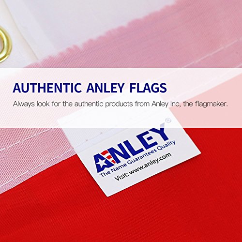 Anley Fly Breeze 3x5 Foot Pansexual Pride Flag - Vivid Color and Fade proof - Canvas Header and ...