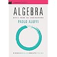 Algebra (Cambridge Mathematical Textbooks): Aluffi, Paolo ...