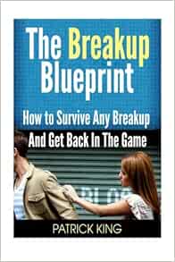 The Breakup Blueprint: How to Survive Any Breakup and Get Back in the ...