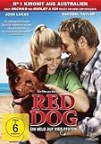 Hachiko - Eine wunderbare Freundschaft: Amazon.de: Joan Allen, Sarah ...