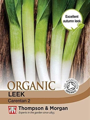Leek ‘Carentan 2’ Seeds Allium porrum Hardy Biennial Vegetable Garden ...