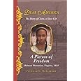 A Picture of Freedom (Dear America): McKissack, Patricia C ...