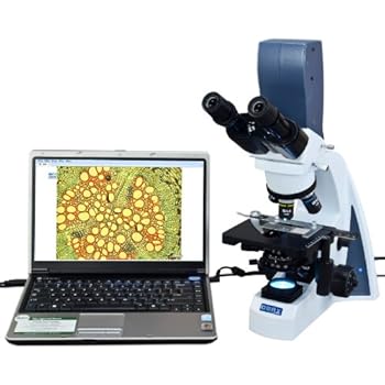 Amazon.com: OMAX 40X-2000X Digital LED Infinity Digital Compound ...