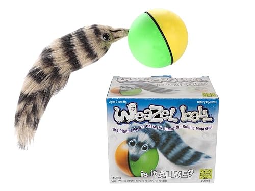 D.Y. TOY - The Original Weasel Ball, Interactive Motion Toy in Oman ...