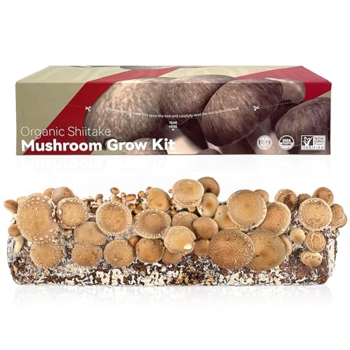 inbloom Organic Shiitake Mushroom Grow Kit, Indoor Mushroom Kit ...