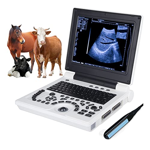 Ultrasound Scanner Veterinary Machine Laptop 12 Inch Portable Black ...
