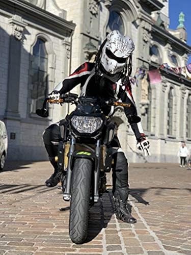 Predator Motorcycle Helmet – DOT Approved – Predator Helmet, Custom ...